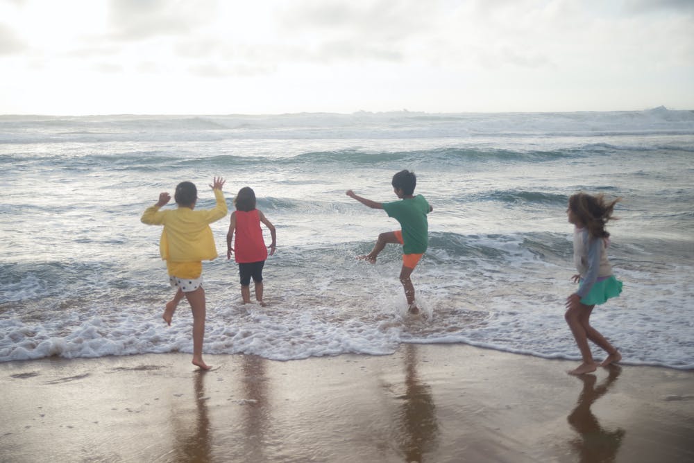 A Local's Guide to Snapperman Beach | Manly Panorama
