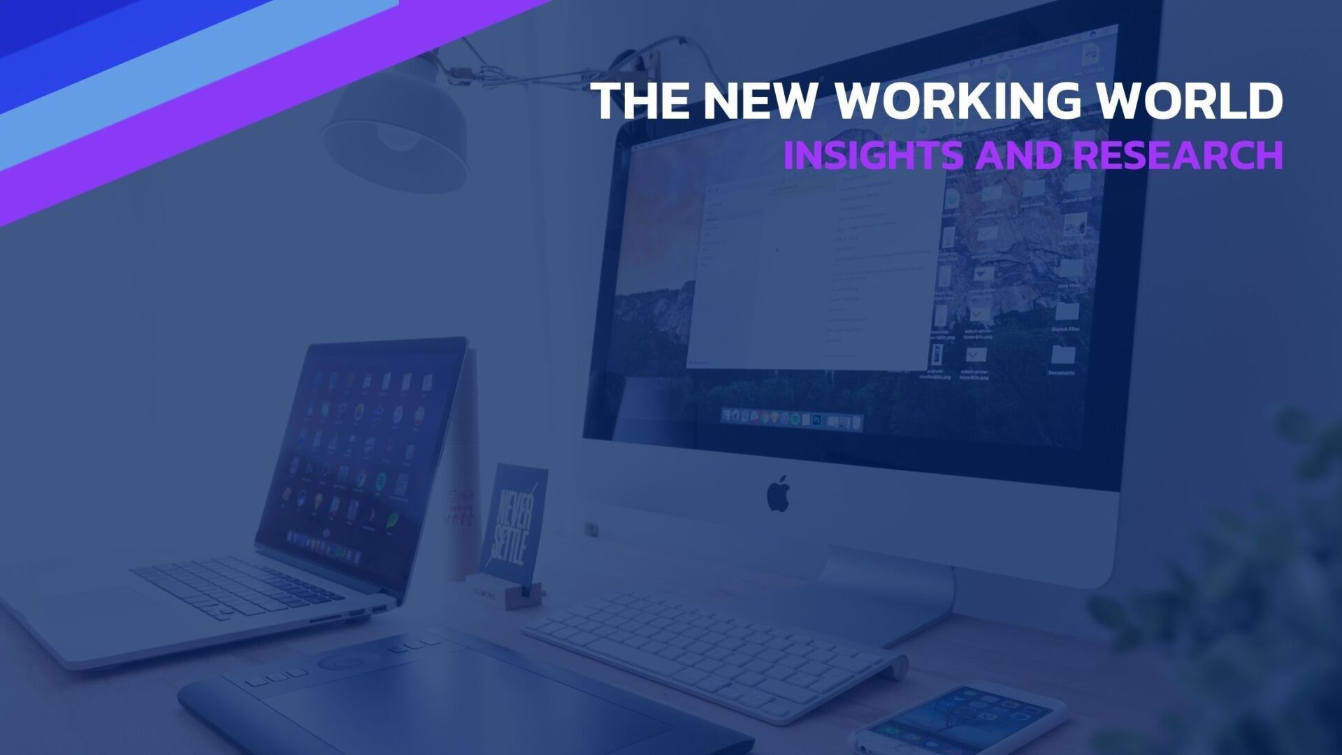 Mason Alexander Research – The New Working World