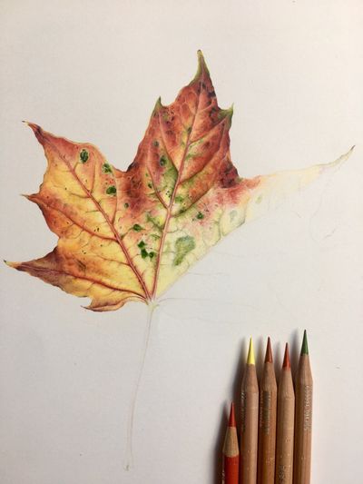 Crystal Shin | About Crystal