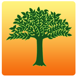 Tree Services Company | Bowie, MD | Tree Top Tree Service