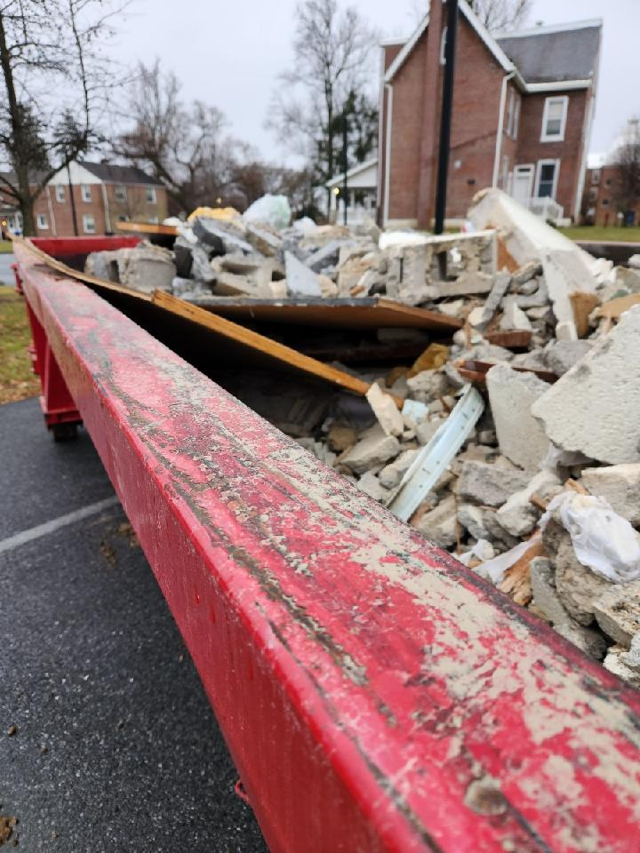 A Brief Look at the Dumpster