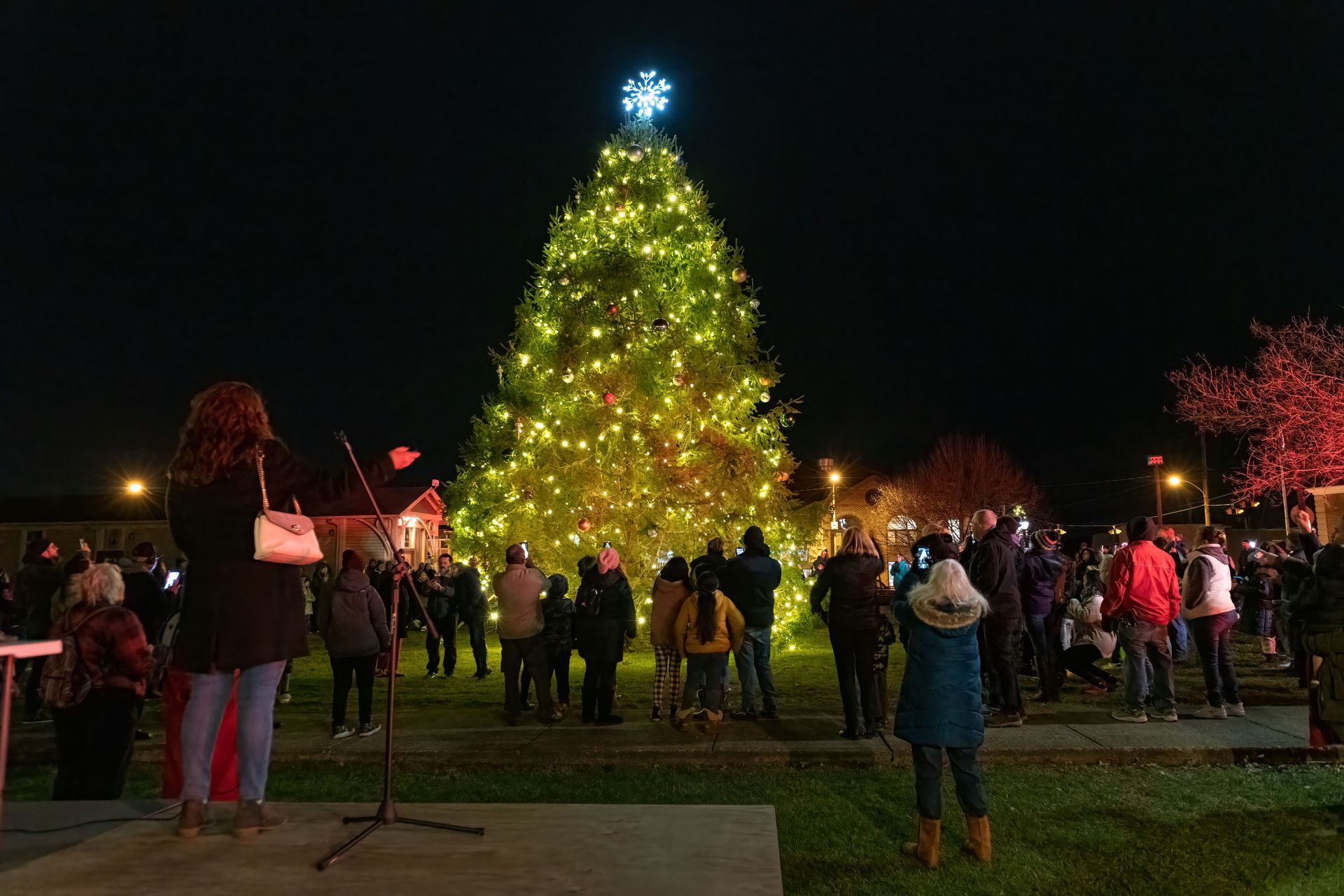 Tree Lighting 2025 | East Stroudsburg Event