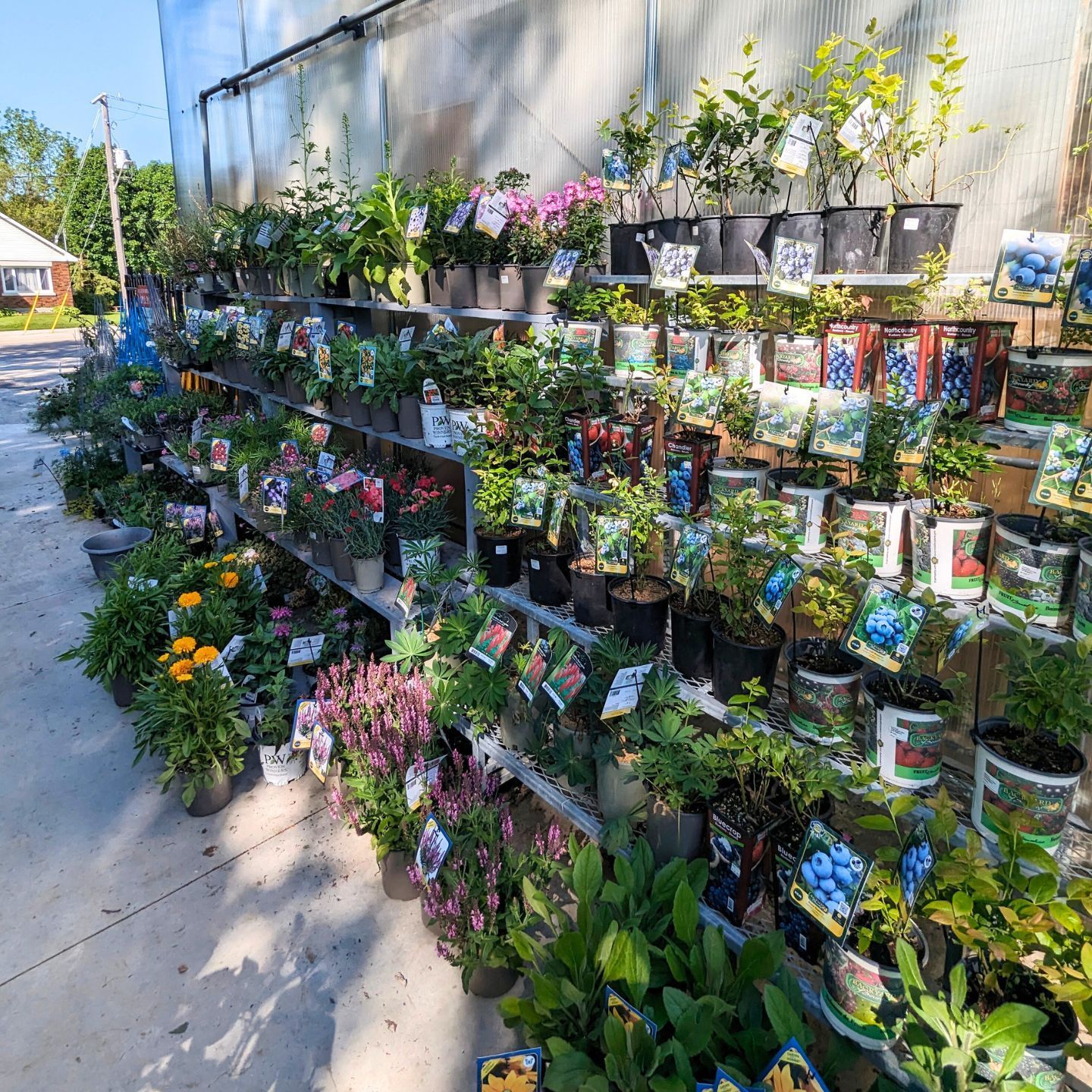 Explore Mount Forest: Your Local Midwest Coop Retail Location