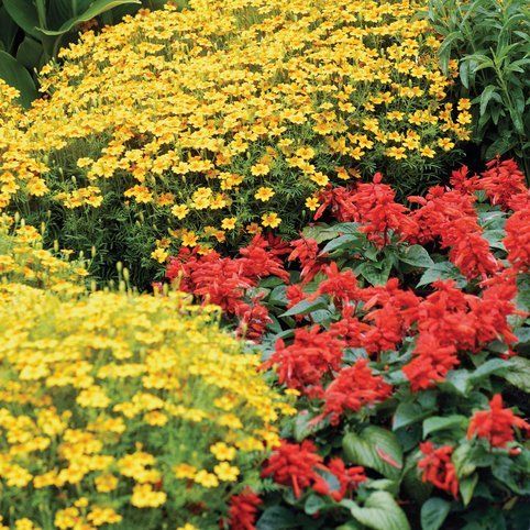 Family Tree Landscape Nursery Rochester MN