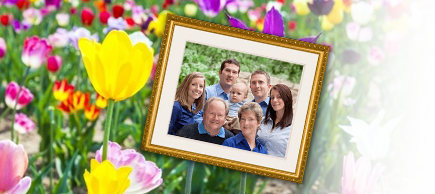 Family Tree Landscape Nursery Rochester MN