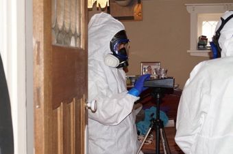 Mould Remediation in Geelong | Scientific Mould Experts