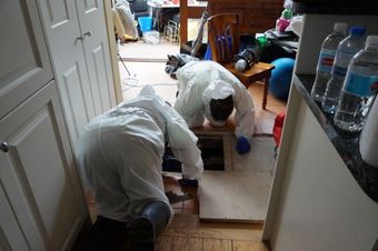 Mould Remediation in Geelong | Scientific Mould Experts