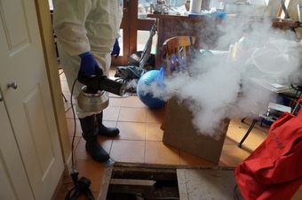 Mould Remediation in Geelong | Scientific Mould Experts