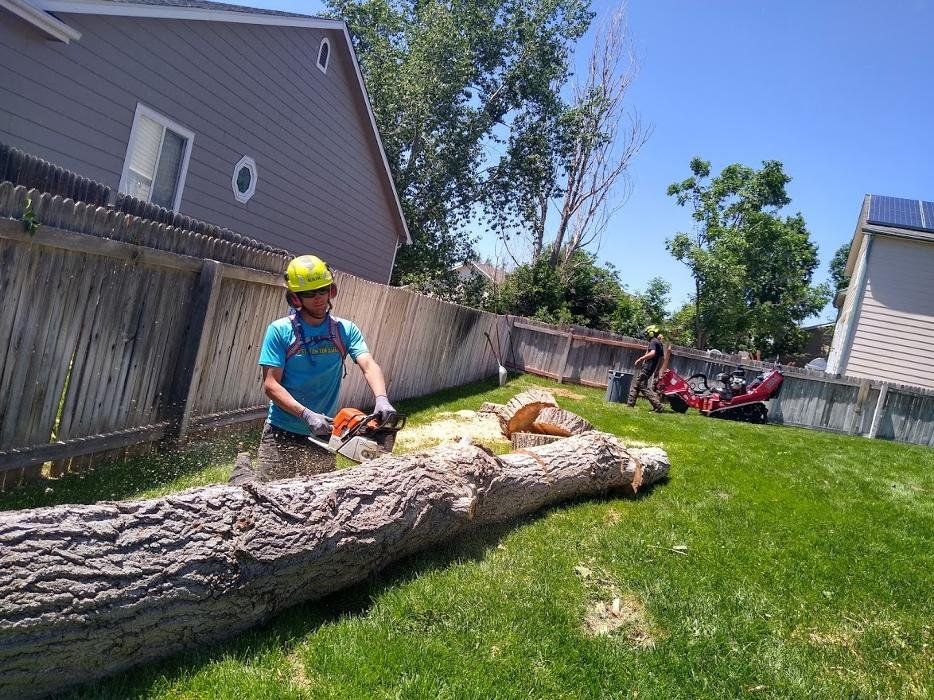 Rowan Tree Care - Top Rated Tree Service - Denver, Colorado