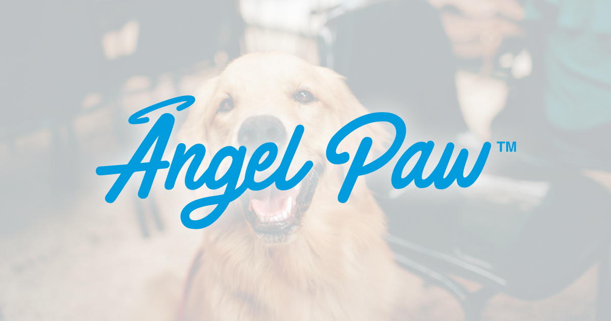 Our Story | Angelpaw