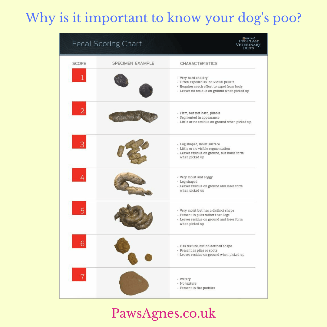 Why is Poo so important