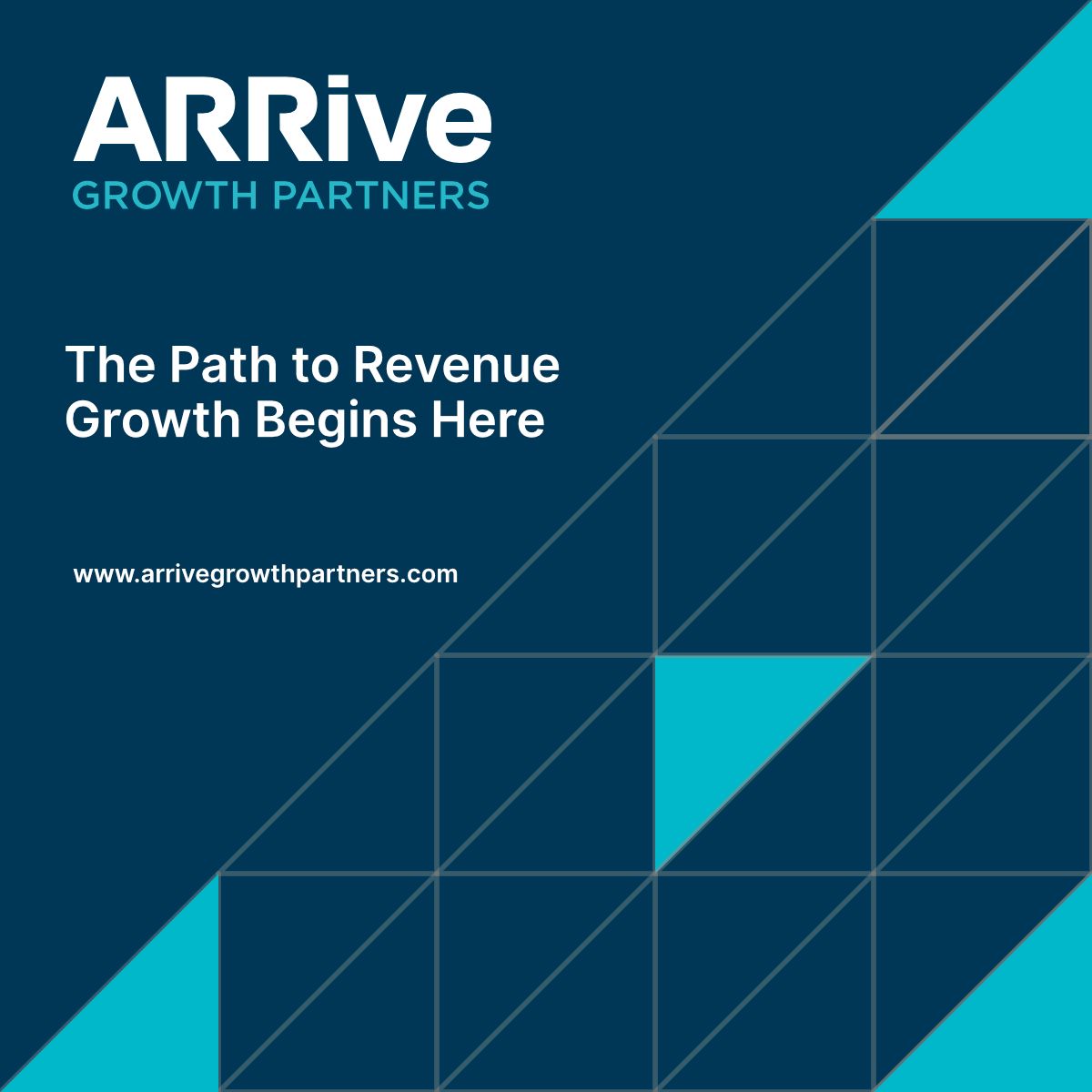 Our Team | Healthtech Sales & Marketing Leaders | ARRive Growth ...