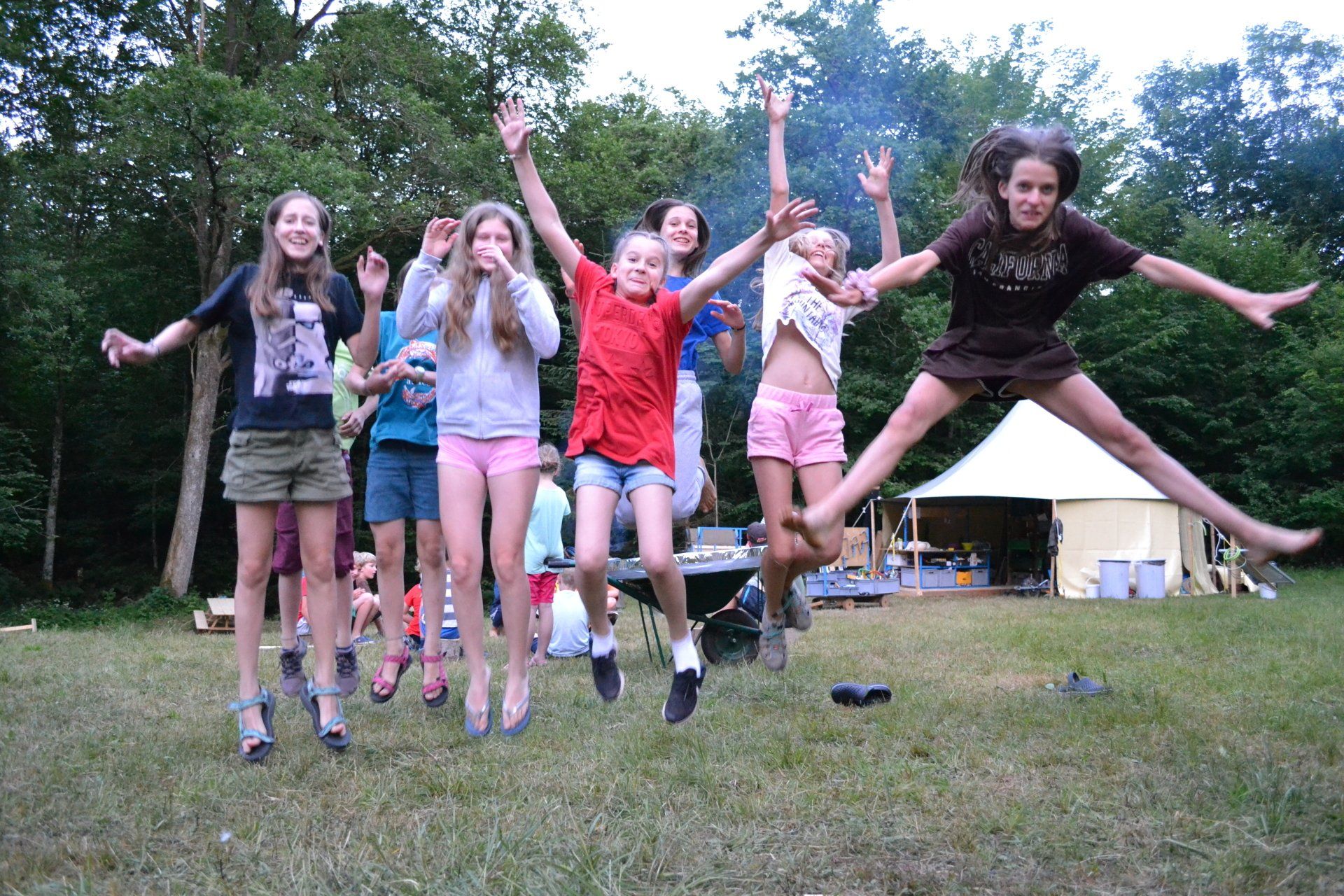 Gozdni oddelek = Nepozabni poletni tabori