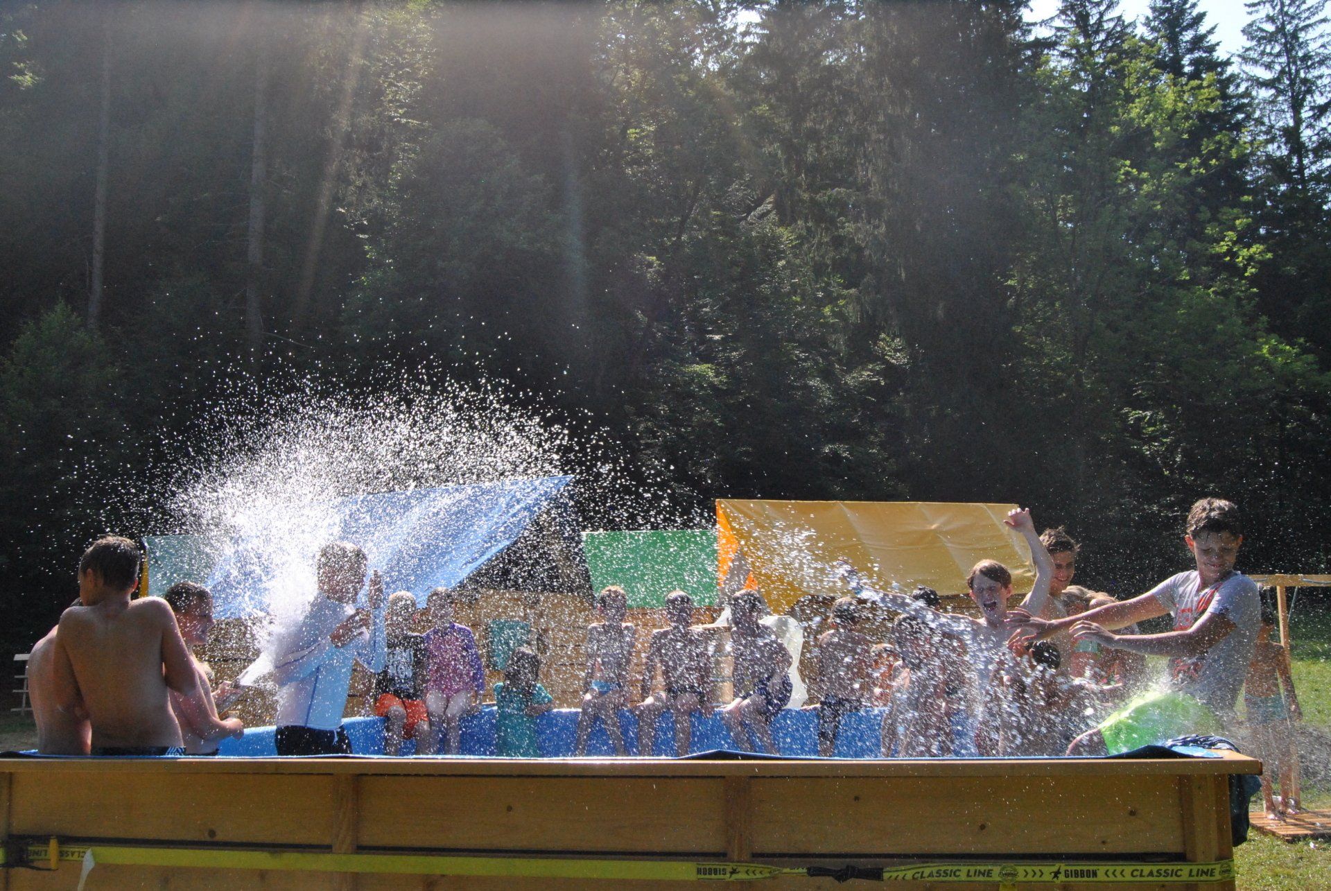 Gozdni oddelek = Nepozabni poletni tabori