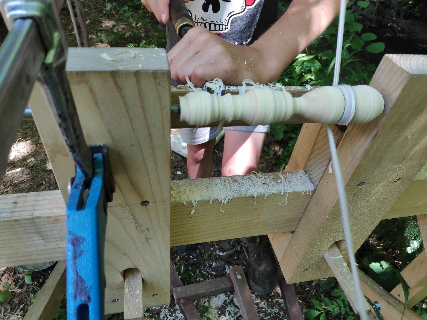 Gozdni oddelek = Nepozabni poletni tabori