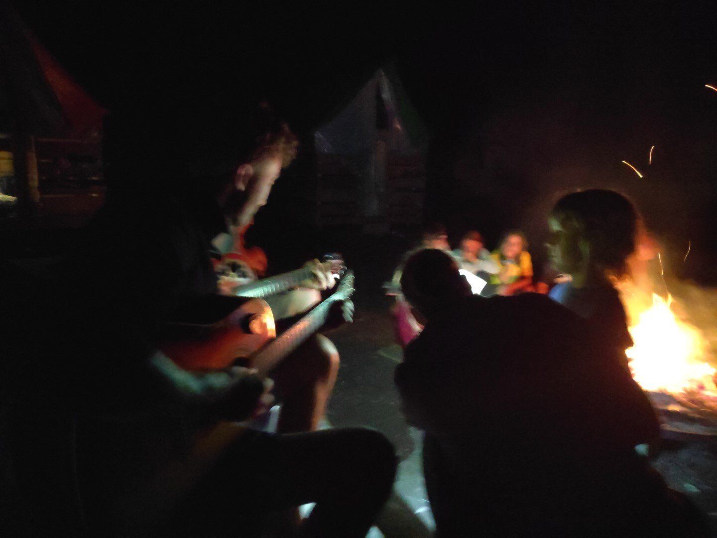 Gozdni oddelek = Nepozabni poletni tabori