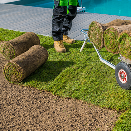 Affordable Turf Services | Mackay, QLD | Get Turfed