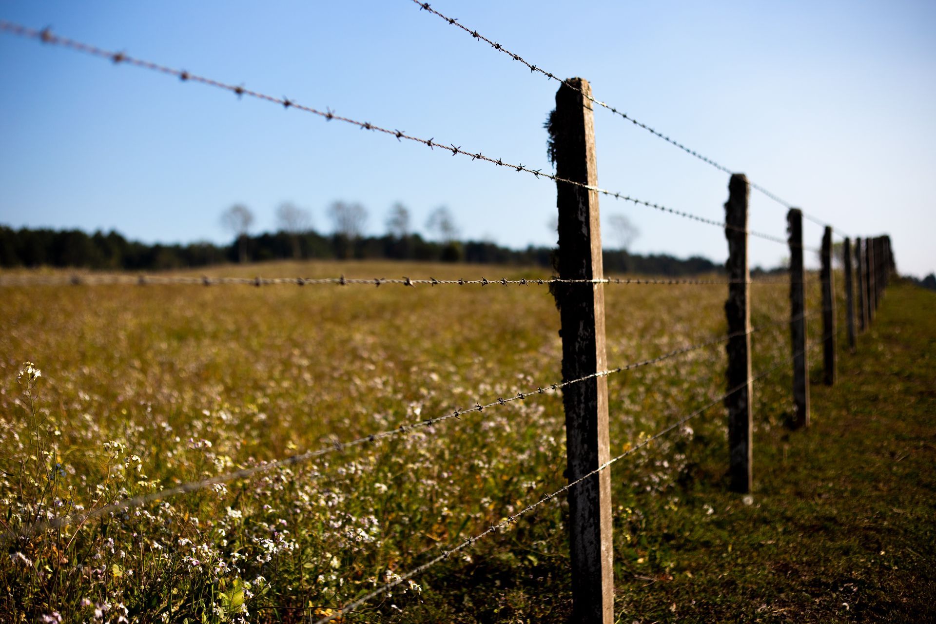 Types of Farm Fences: Choosing the Best for Your Property