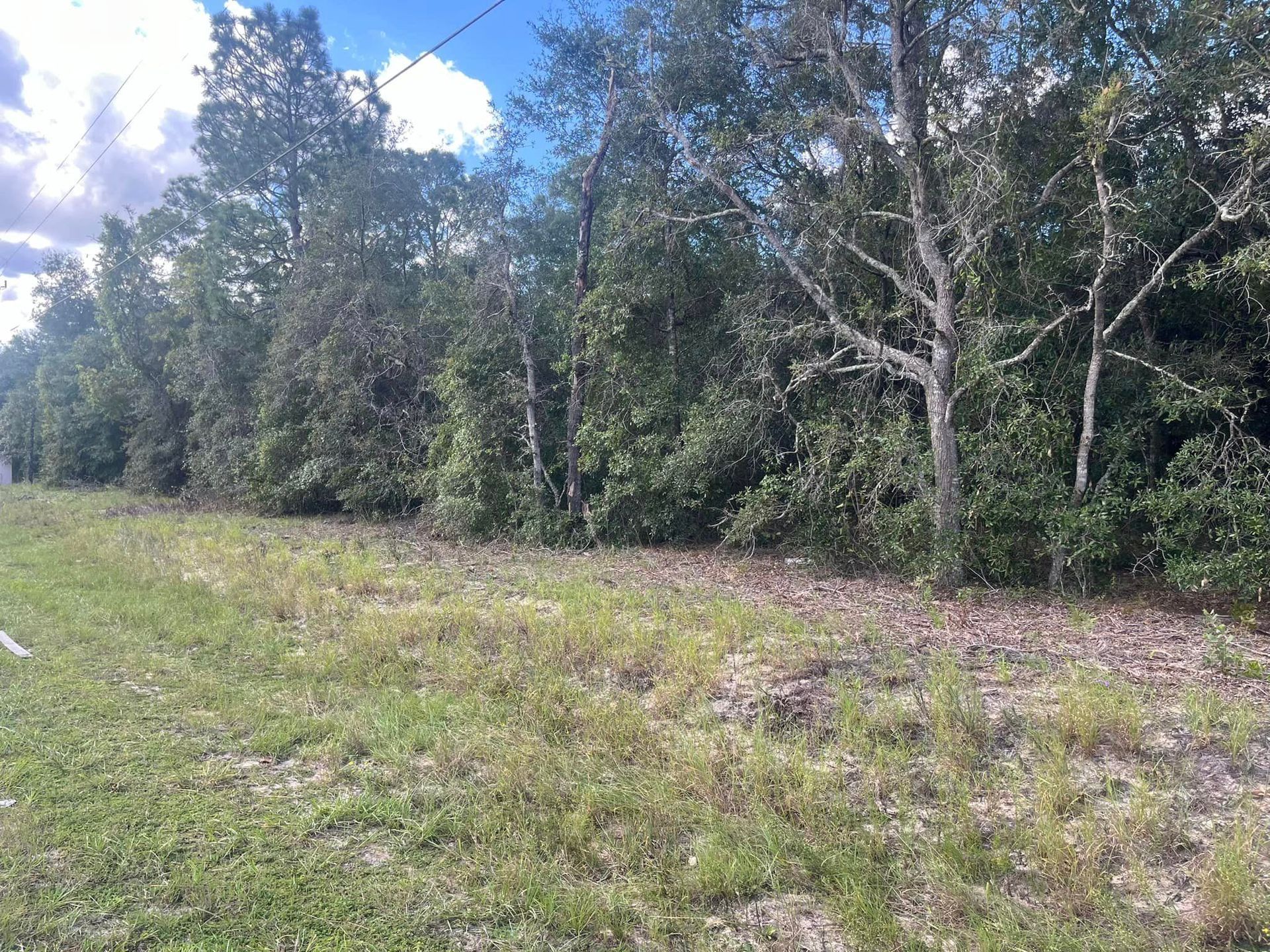 Land Clearing Services Jacksonville, FL - Nixon Outdoor Services