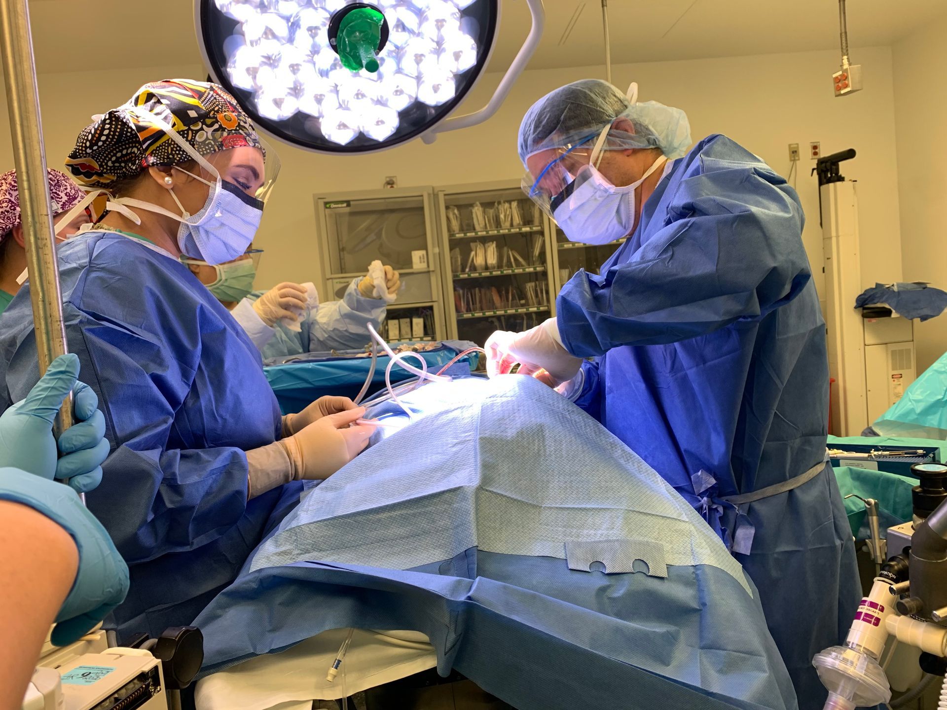 About Our Pediatric Dental Team In Tinton Falls Nj