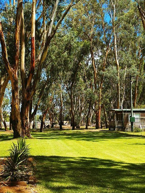 Darlington Point Riverside Caravan Park