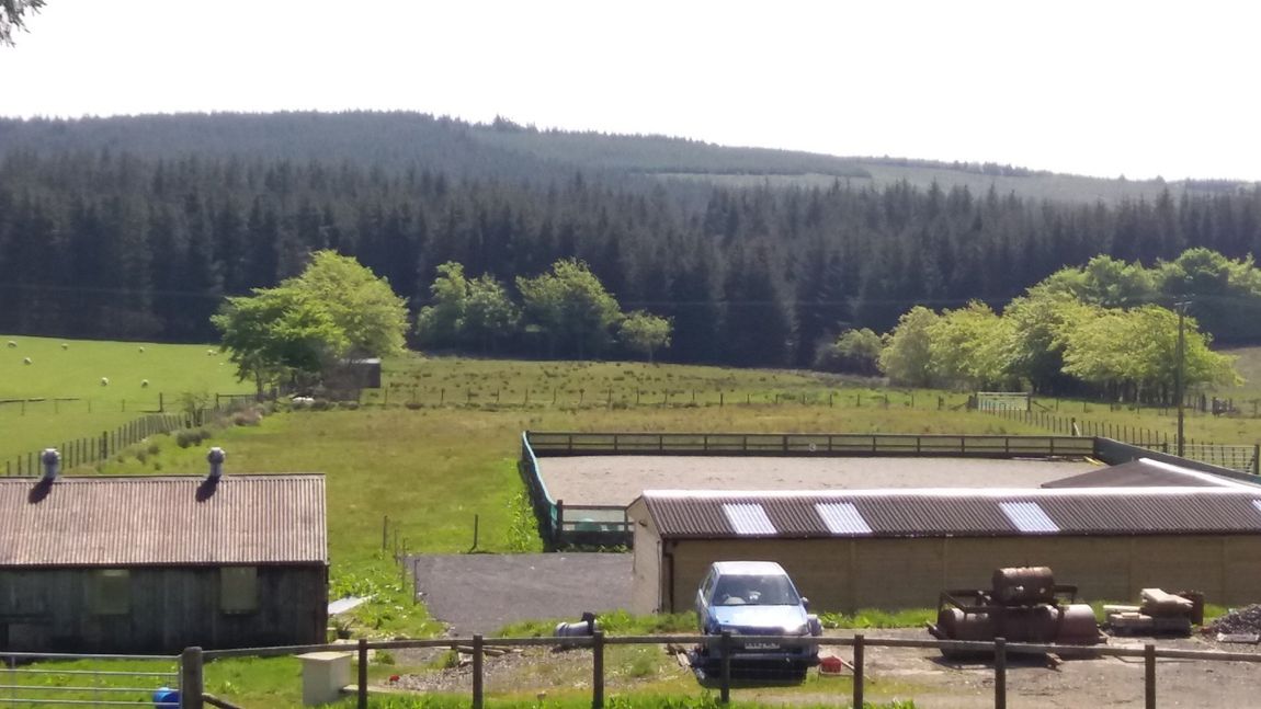 Horse riding centre | Lads Lodge Riding Centre