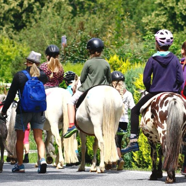 Horse riding centre | Lads Lodge Riding Centre