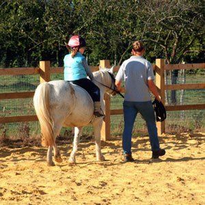 Horse riding centre | Lads Lodge Riding Centre