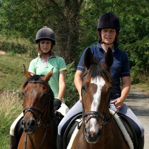 Horse riding centre | Lads Lodge Riding Centre