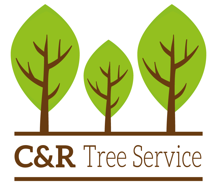 Emergency Tree Care, Removal & Trimming Services Company Middletown ...