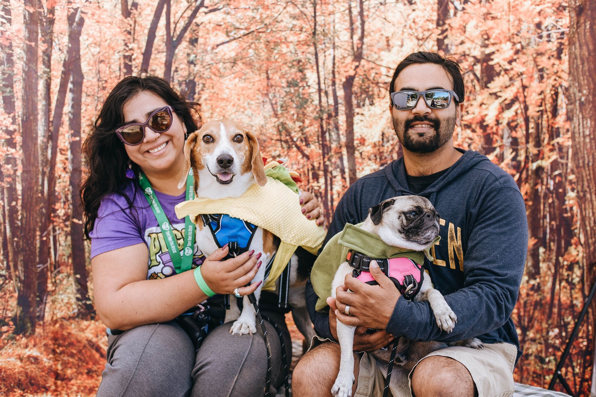 About Us | Tiny Paws Pug Rescue