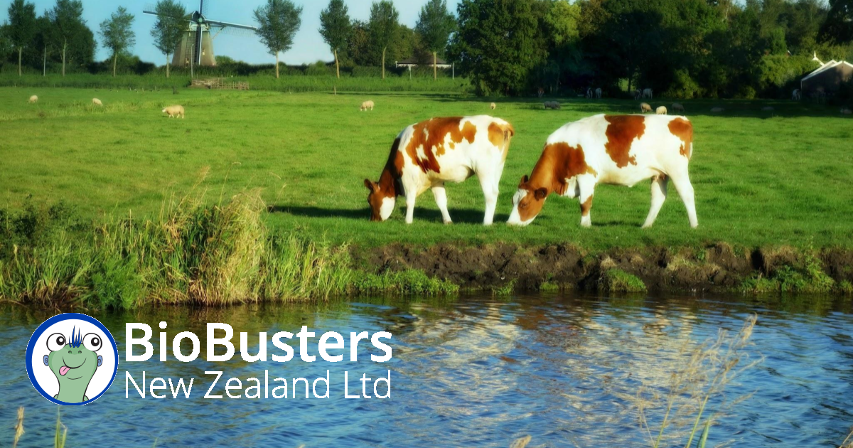 Product Brochure Downloads | BioBusters | New Zealand