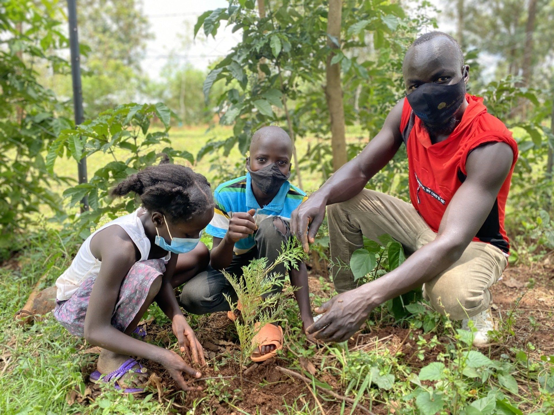 Afforestation & Reforestation Project Afforestation & Reforestation Project