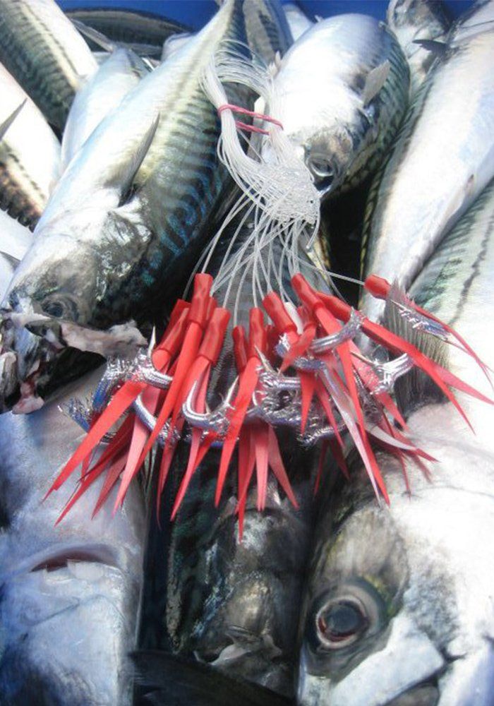 Commercial Hook Line Finishing, Gallery | Fairwater Fishing