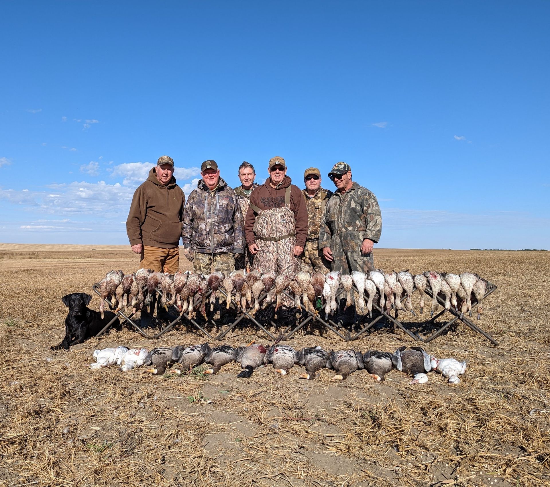 Goose Hunting in Alberta | Hunts | Northern Prairie Outfitters