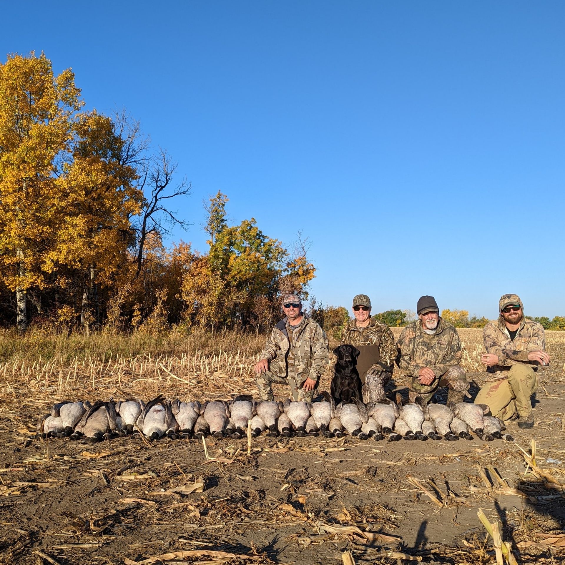 Goose Hunting in Alberta | Hunts | Northern Prairie Outfitters