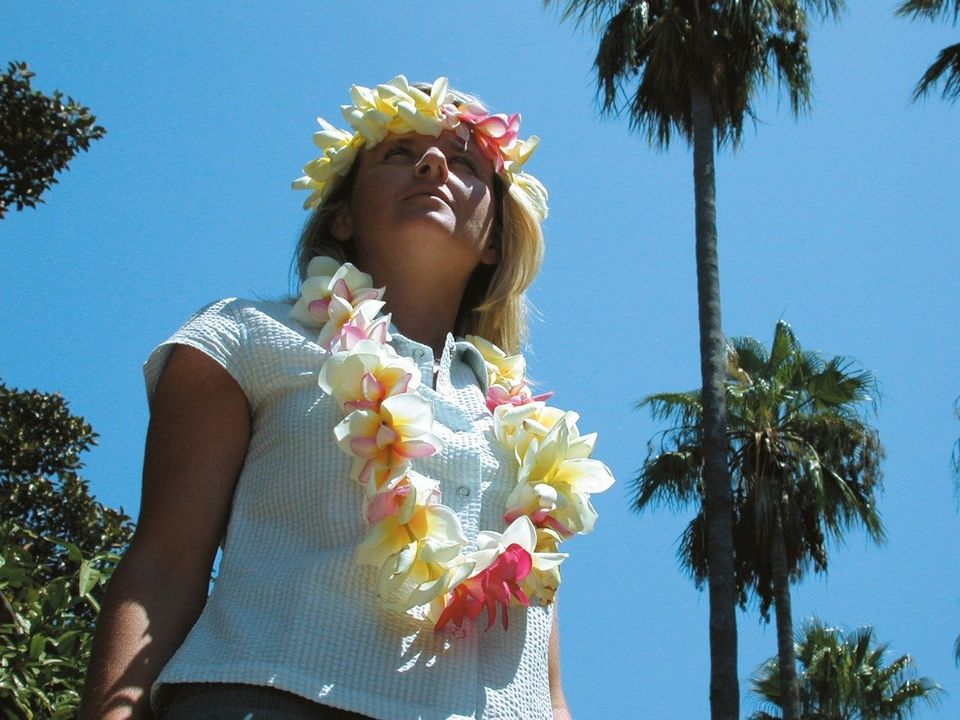 Le origini della Pomelia: un viaggio dai Caraibi a Palermo