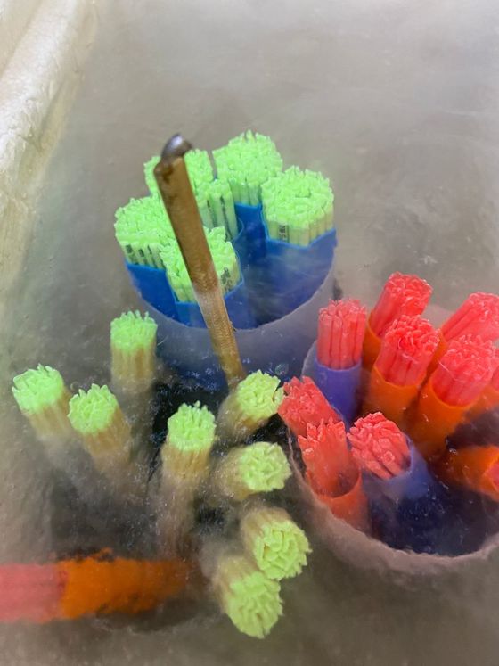 Top Provider of Breeding Supplies in Darling Heights