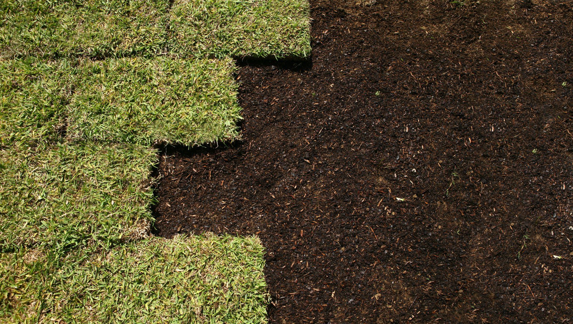 Sod Provider | Ocoee, FL | Winter Garden Grassing Inc