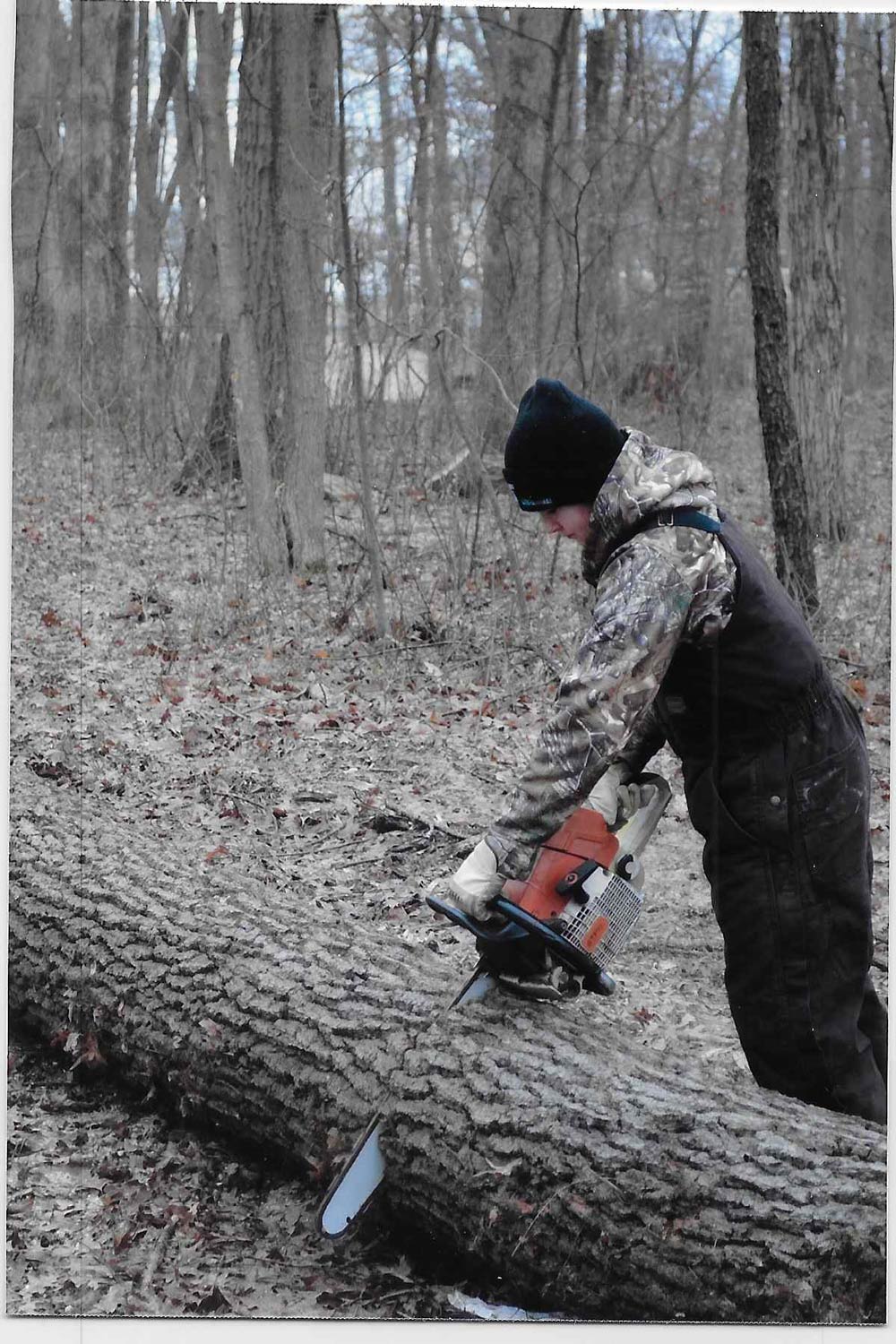 Tree Removal | Crown Point, IN | Clemons Tree Service