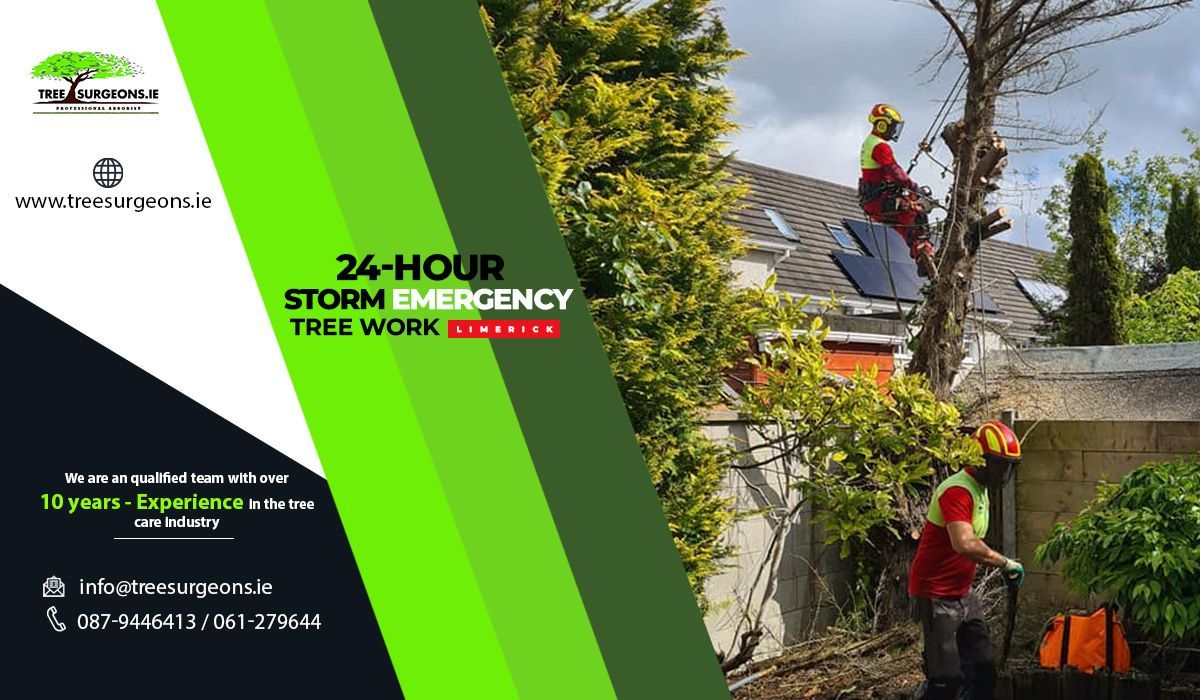 24-Hour Storm Emergency Tree Work- Advantages Of Calling Professionals