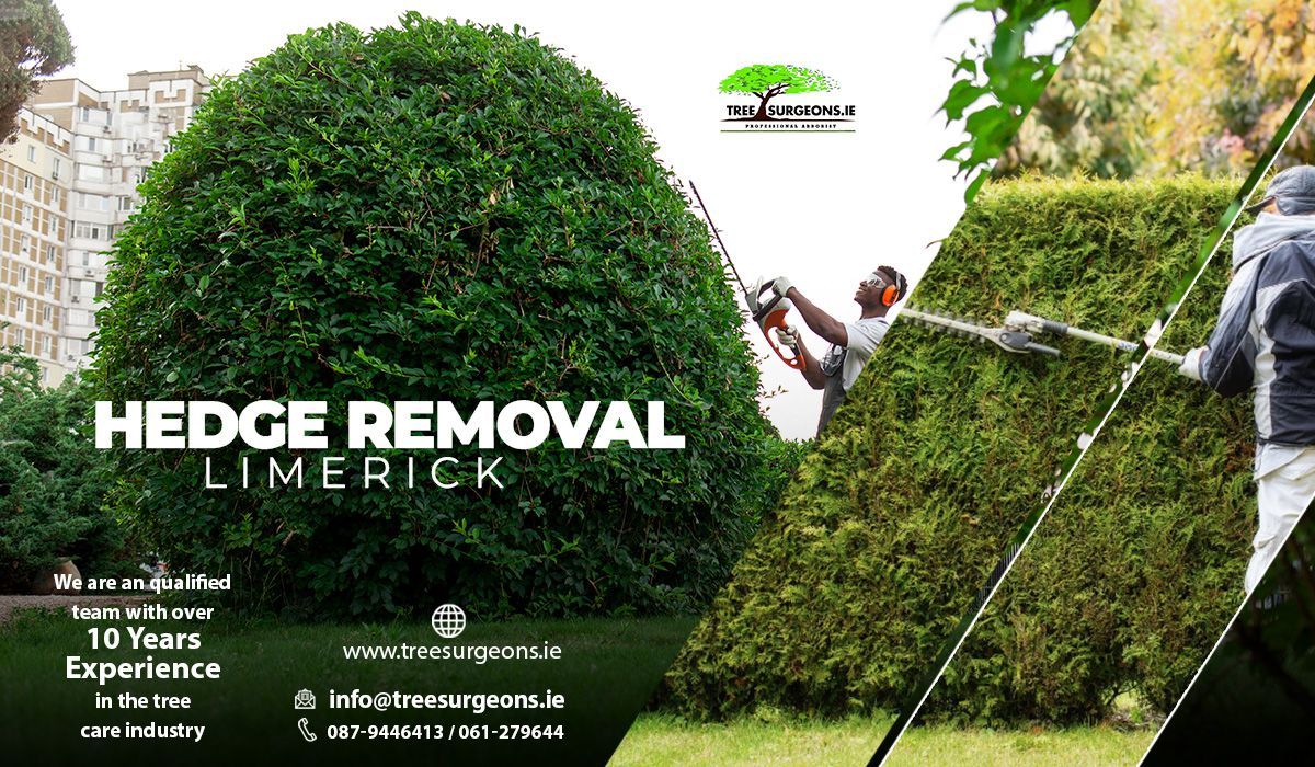 The Ultimate Guide to Hedge Removal: Transforming Your Garden