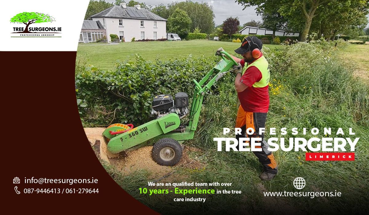 Professional tree surgery: Top things to know about the service