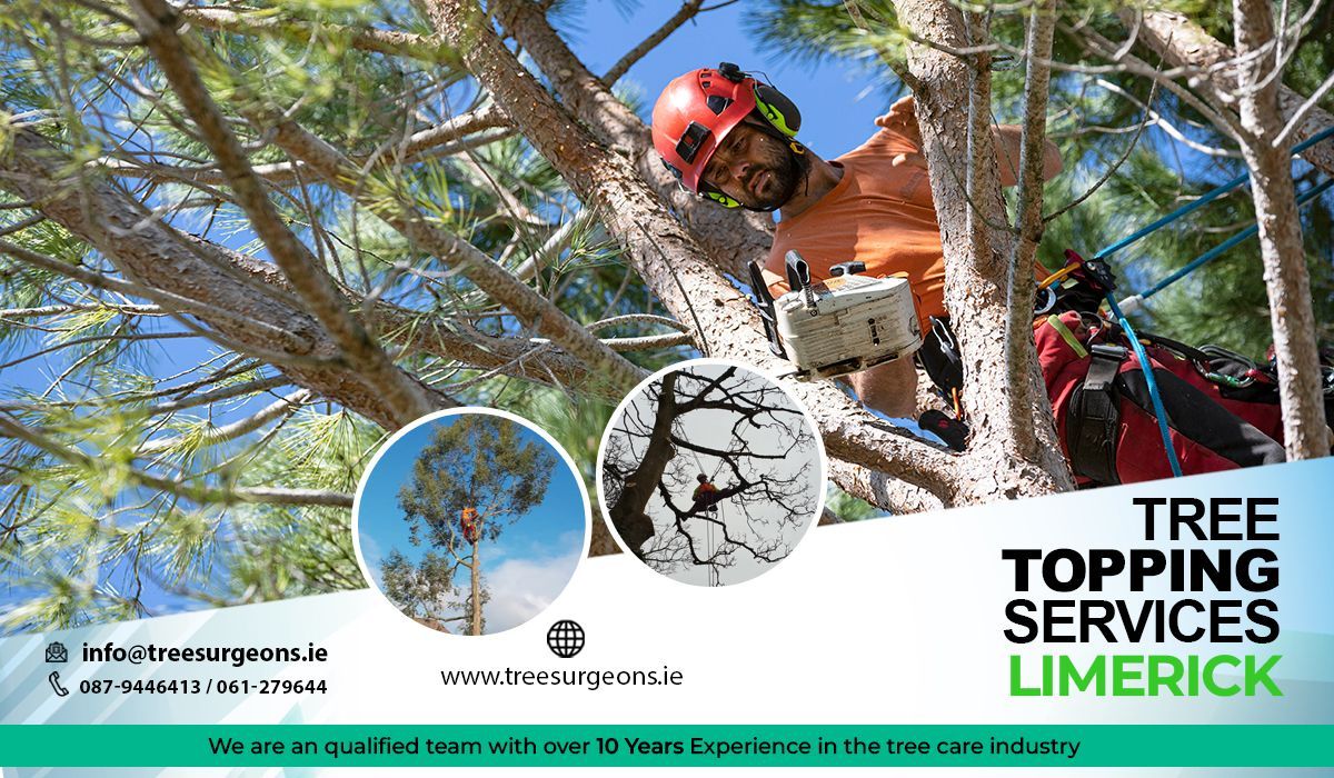 Top Facts about Tree Topping Services: A Quick Guide