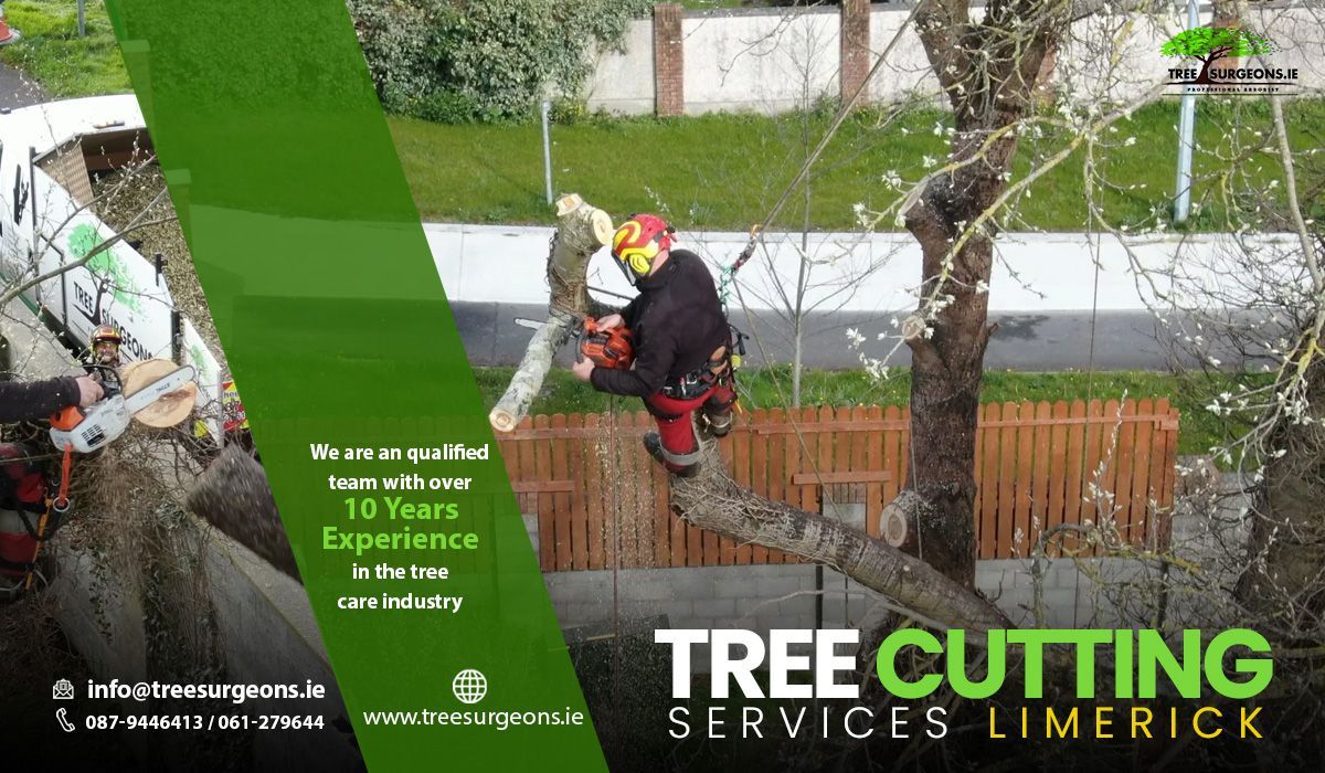 What are the Factors to Consider for Selecting the Right Tree Cutting ...