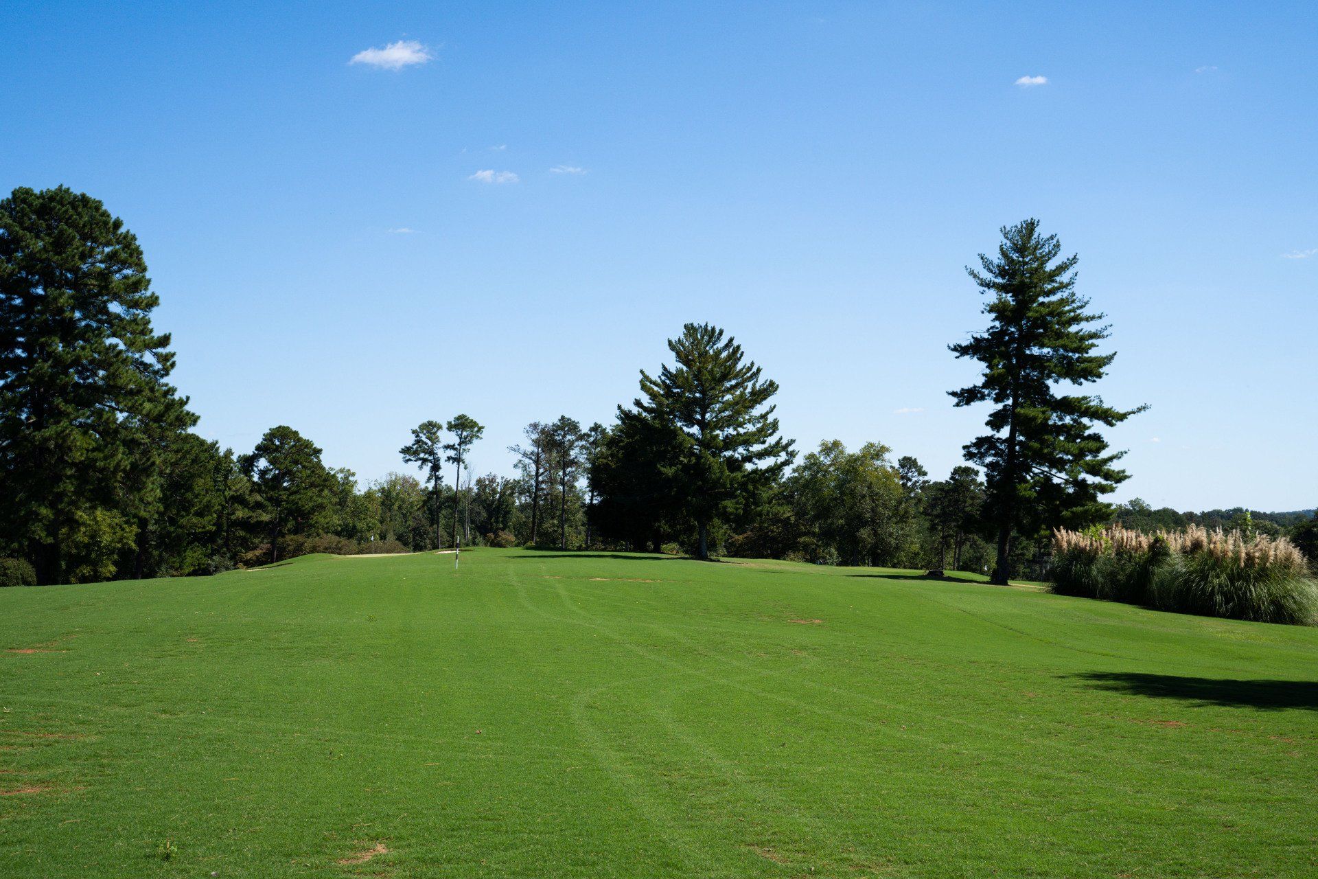 Golf | Book a Tee Time Today at Greer Golf