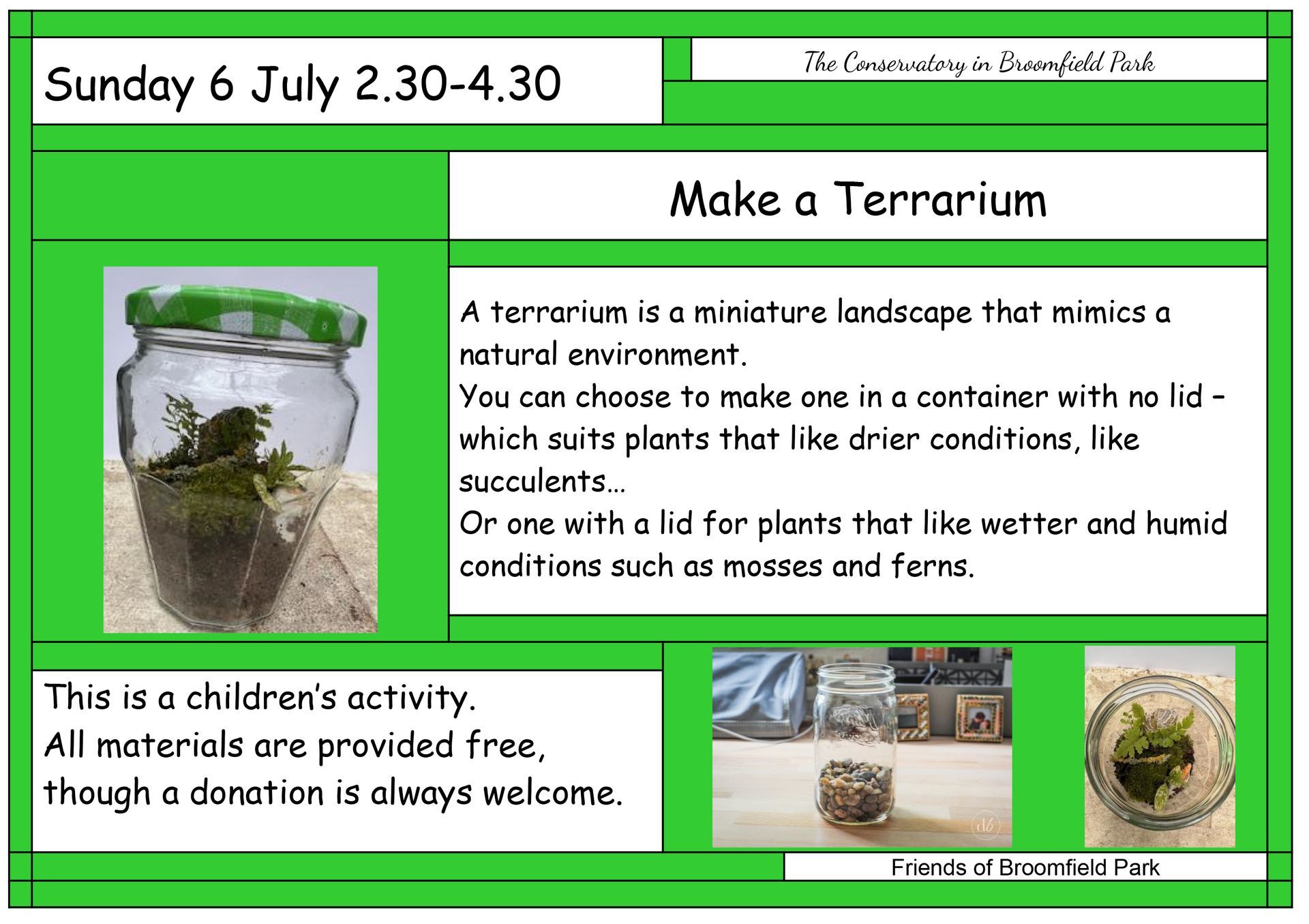 Make a Terrarium