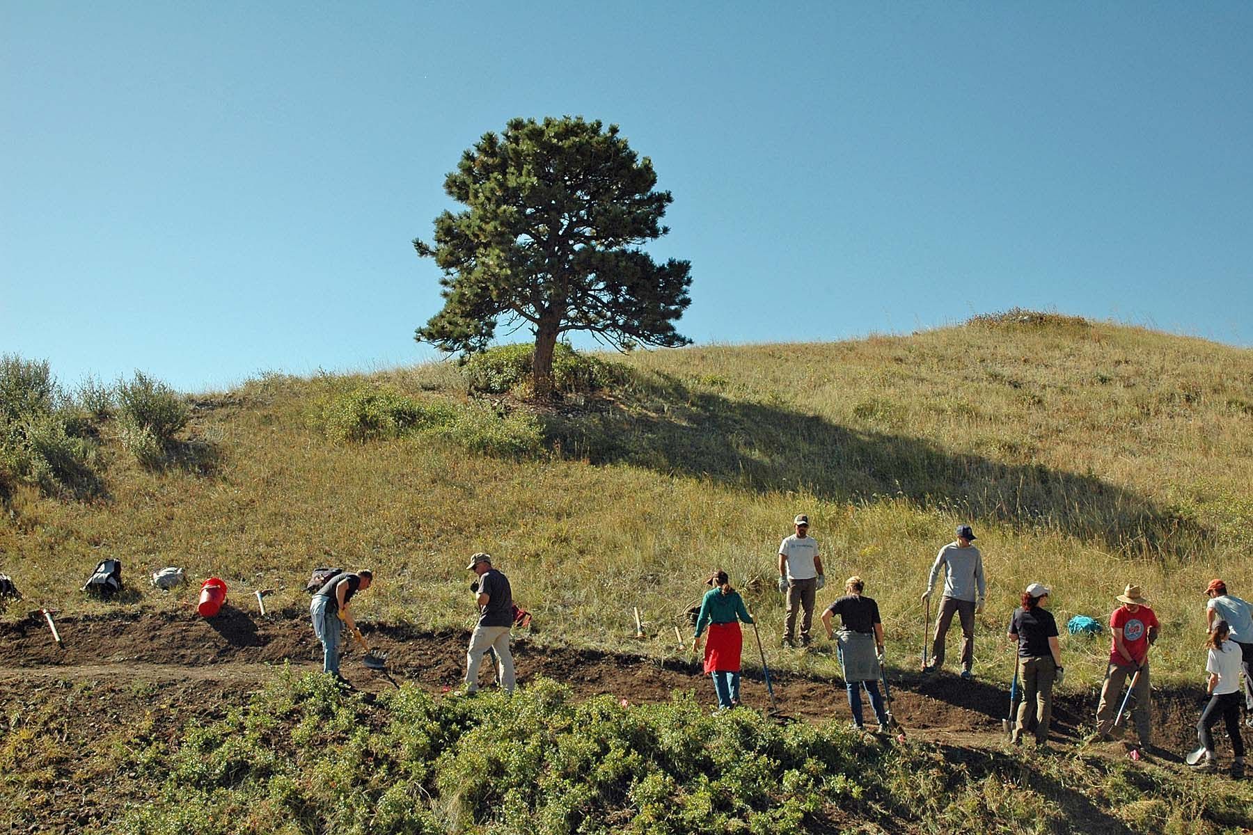 Volunteers for Outdoor Colorado | Become a Natural Resource Steward