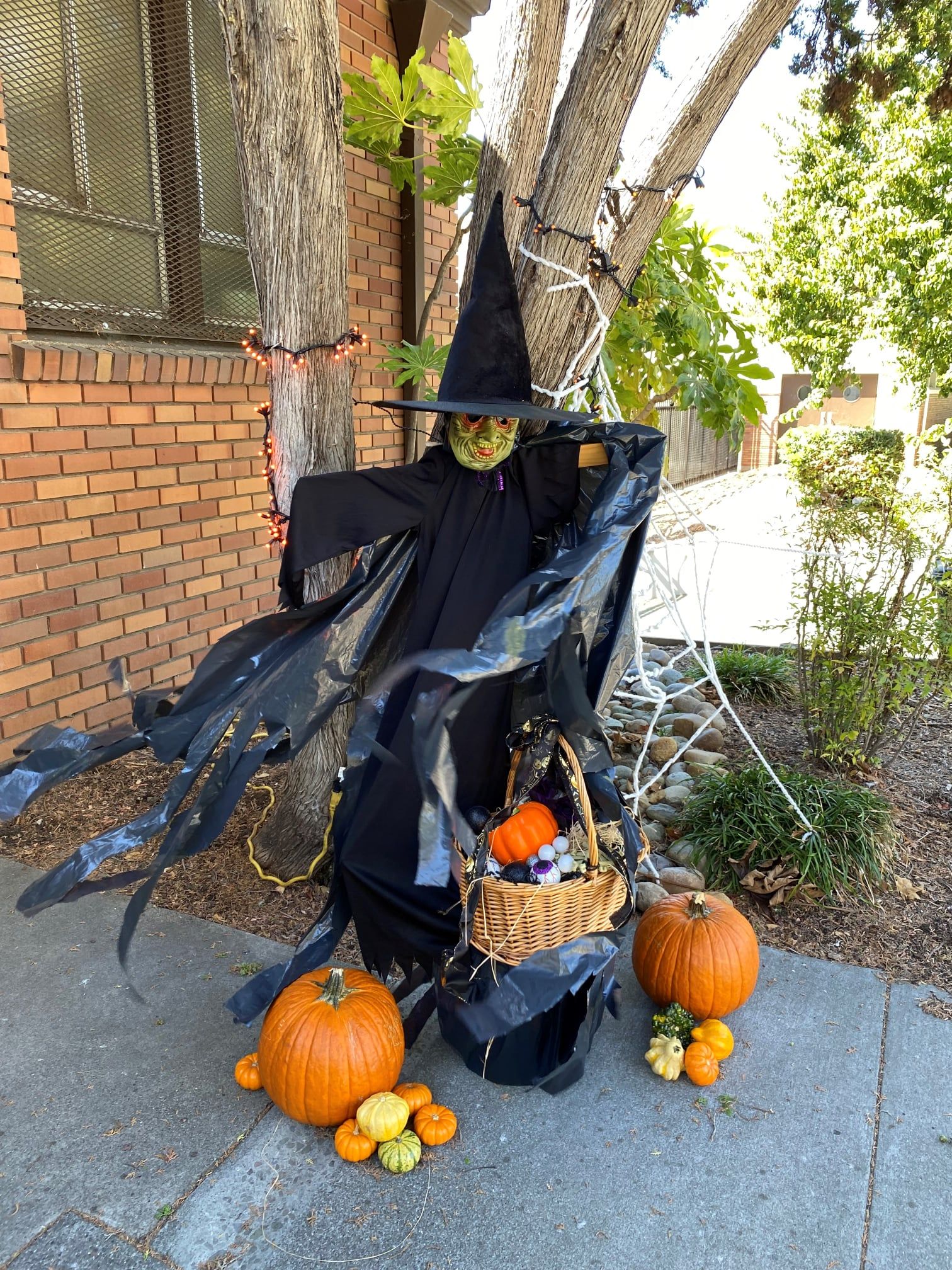 Benicia s October 2021 Events