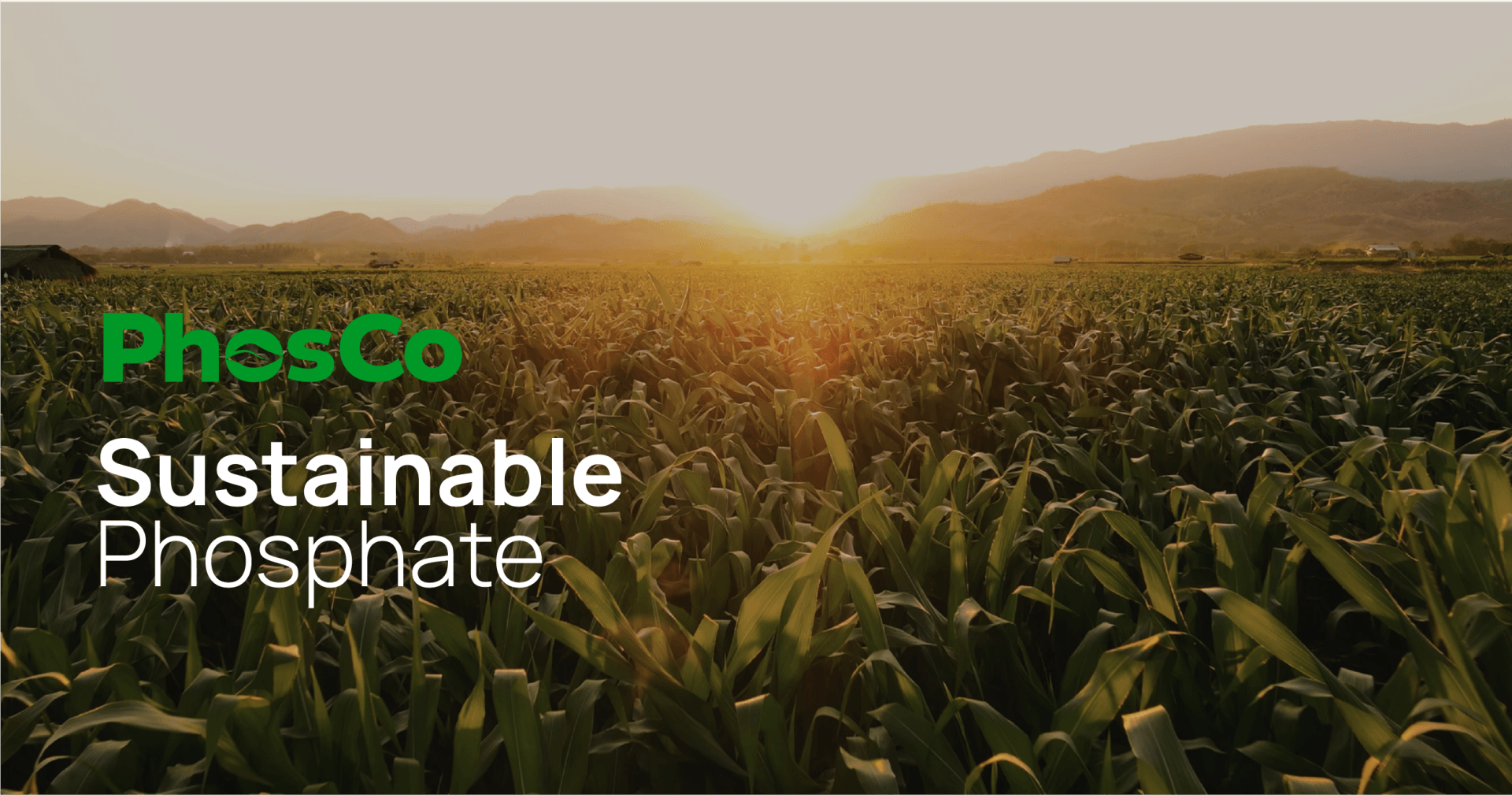 PhosCo | Sustainable Phosphate